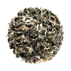 Beach Cottage Comfort – Beach House Teas